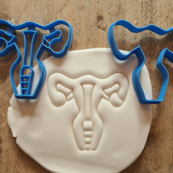 Uterus Cookie Cutters - Etsy