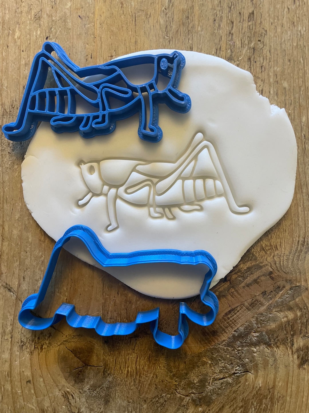 Cricket Cookie Biscuit Cutter, Flour Edible Insect, Wildlife, Nature ...