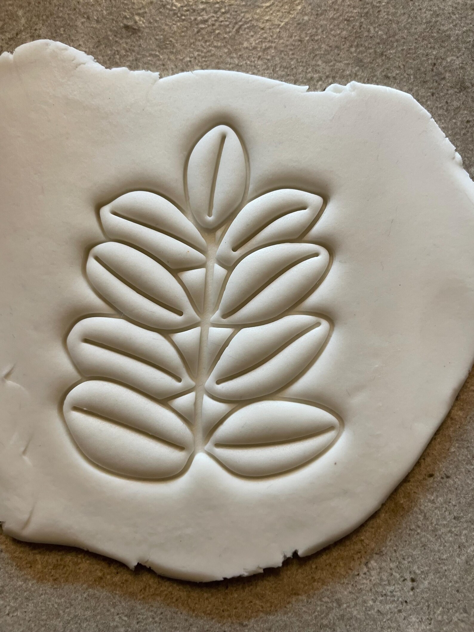 Pinnate Leaf Cookie Cutter, Biscuit, Gift Ideas, Tree, Green, Spring ...
