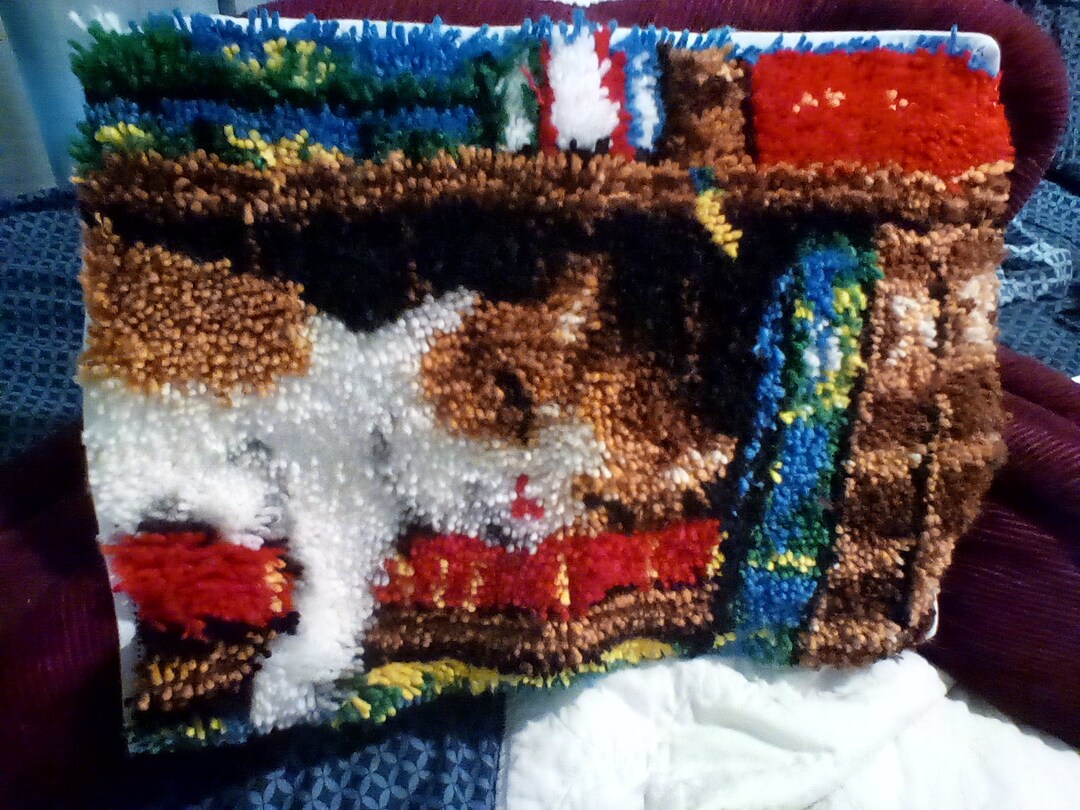 Handmade Cat Laying a Bookshelf Latch Hook Rug - Etsy