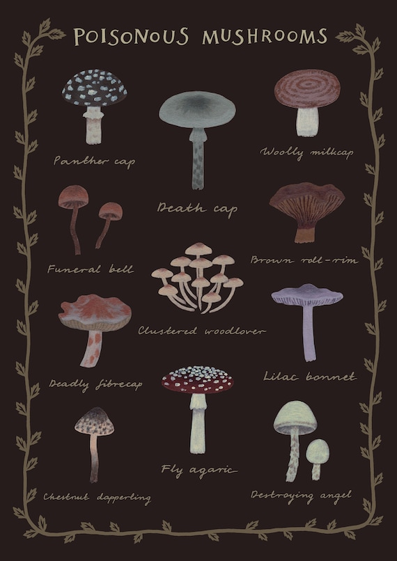 Poisonous Mushrooms Chart