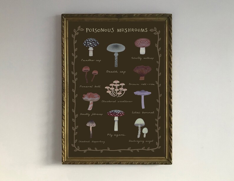 Poisonous Mushrooms Botanical Chart Poster | Etsy
