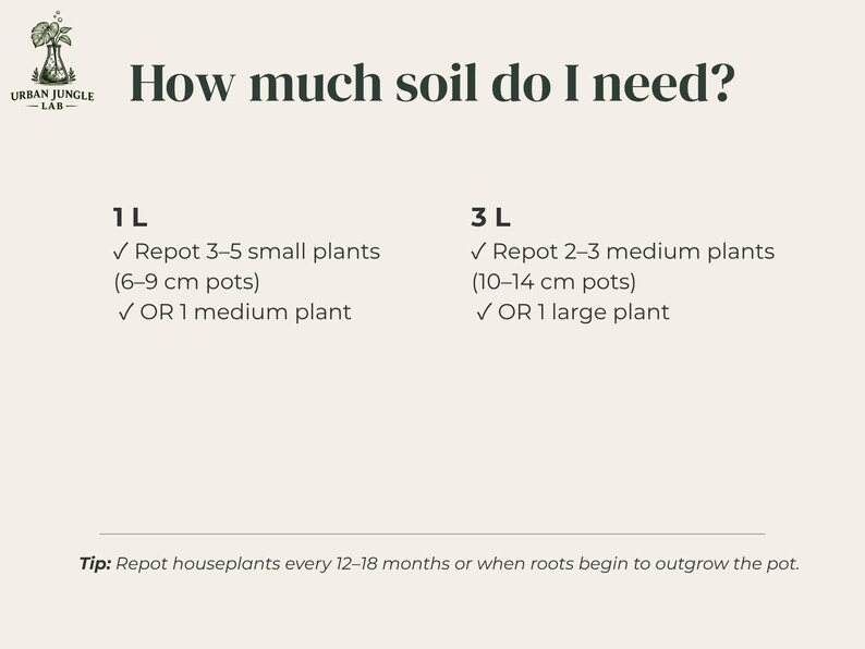 Rare Plant Soil Bundle | 3x 1L or 3L Mix Set | Aroid & Alocasia Soil ...