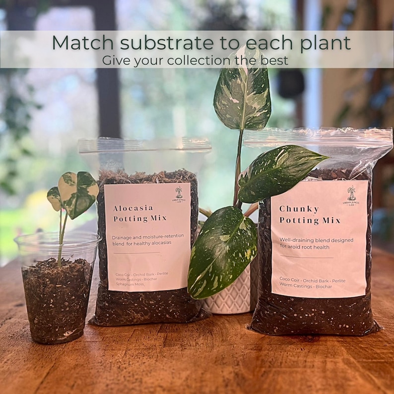 Rare Plant Soil Bundle | 3x 1L or 3L Mix Set | Aroid & Alocasia Soil ...