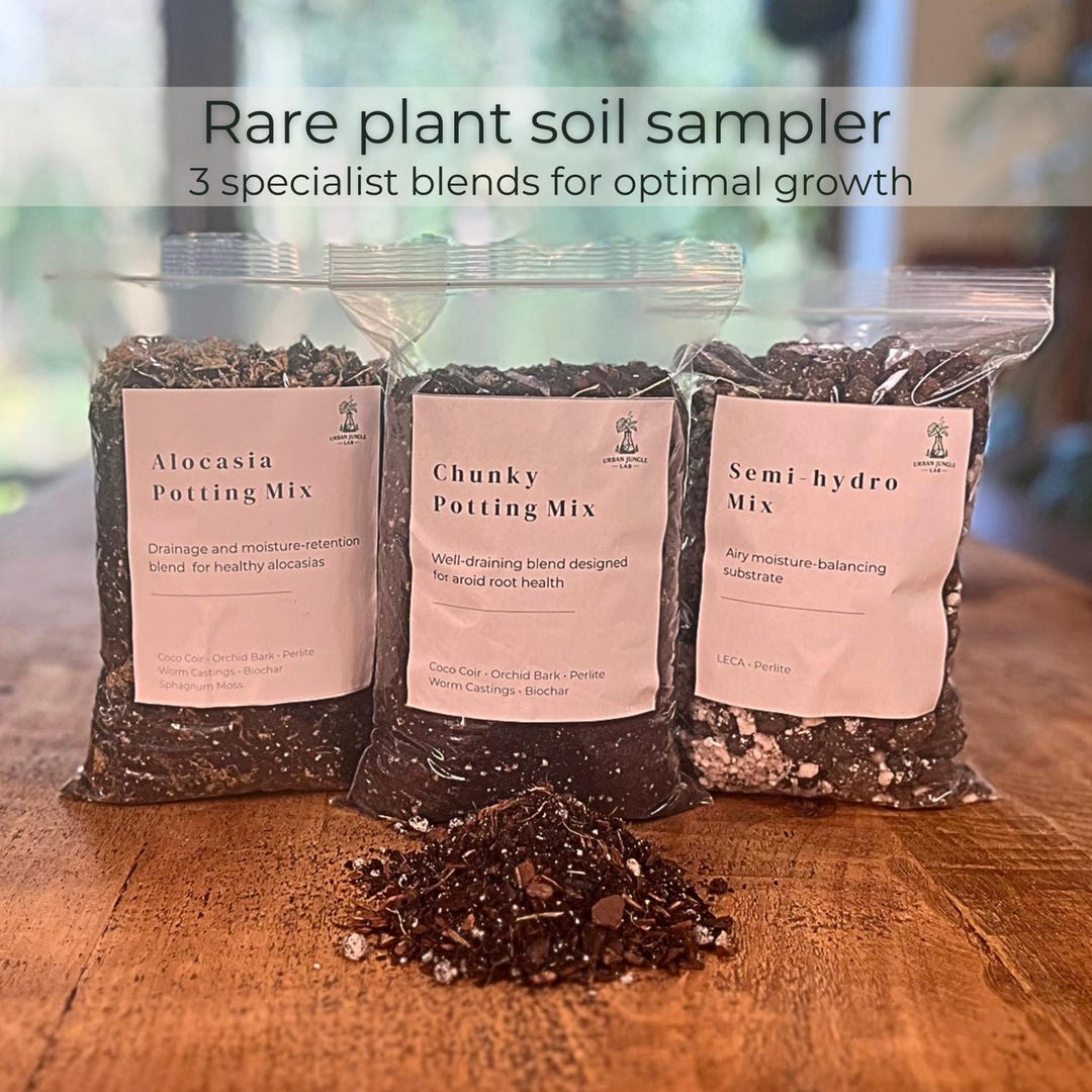 Rare Plant Soil Bundle | 3x 1L or 3L Mix Set | Aroid & Alocasia Soil ...