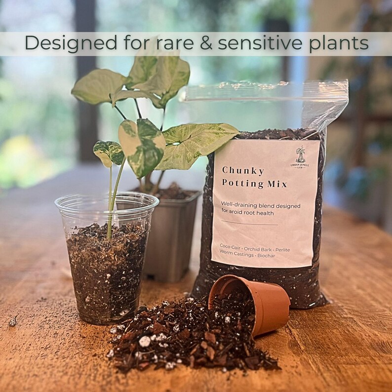 Rare Plant Soil Bundle | 3x 1L or 3L Mix Set | Aroid & Alocasia Soil ...