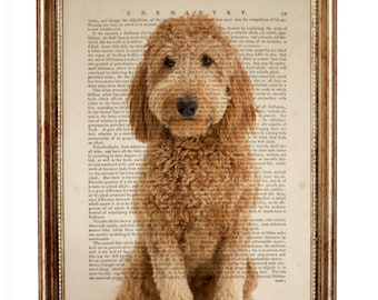 Goldendoodle art | Etsy