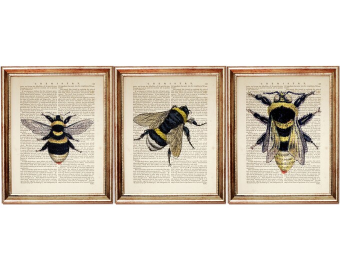 Set of 3 Prints, Bee Art, Bee Wall Art, Bee Poster, Bee Print Set, Bee ...