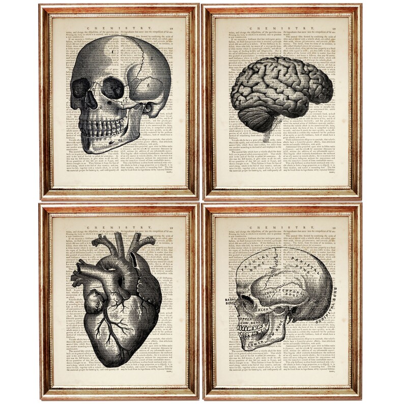 Set of 4 Human Anatomy Dictionary Art Prints Set of 4 Wall | Etsy