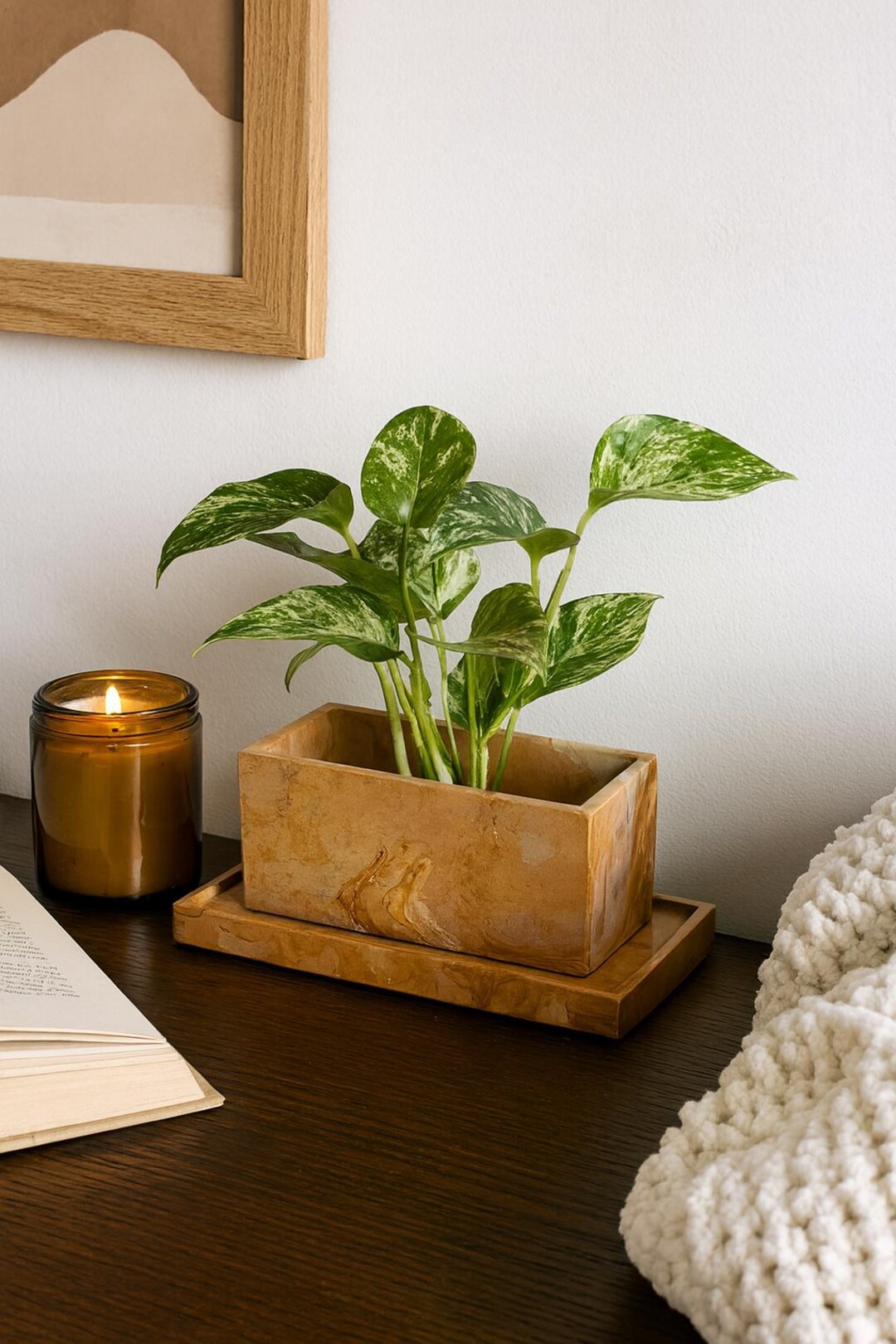 6 Inch Harvest Gold Rectangle Cement Planter With Drainage + 8 Inch ...