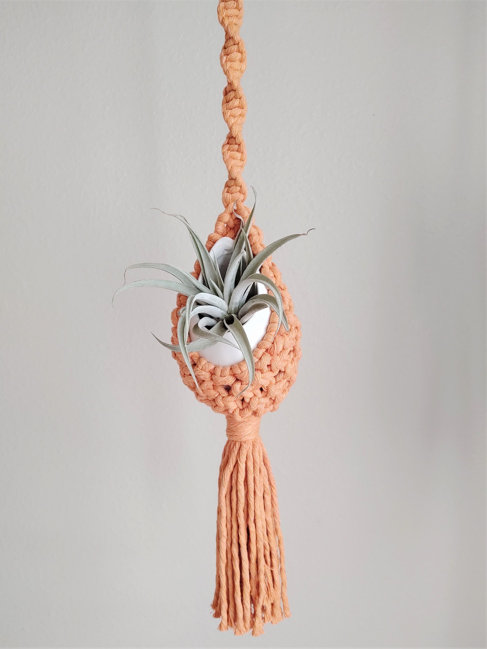 Macrame Air Plant Hanger Macrame Plant Hanger Macrame Pod | Etsy