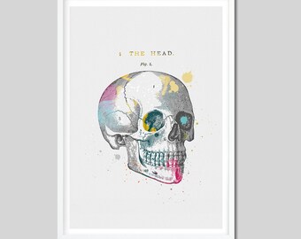 Vintage Anatomy Poster Head Muscle Skeleton Skull - Etsy