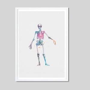 Skeleton Poster Anatomy Painting Human Anatomy Art Medical Poster Home ...