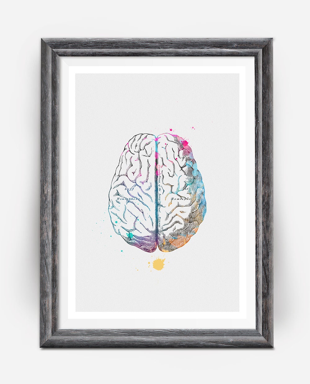 Human Brain Watercolor Print Brain Poster Brain Painting | Etsy