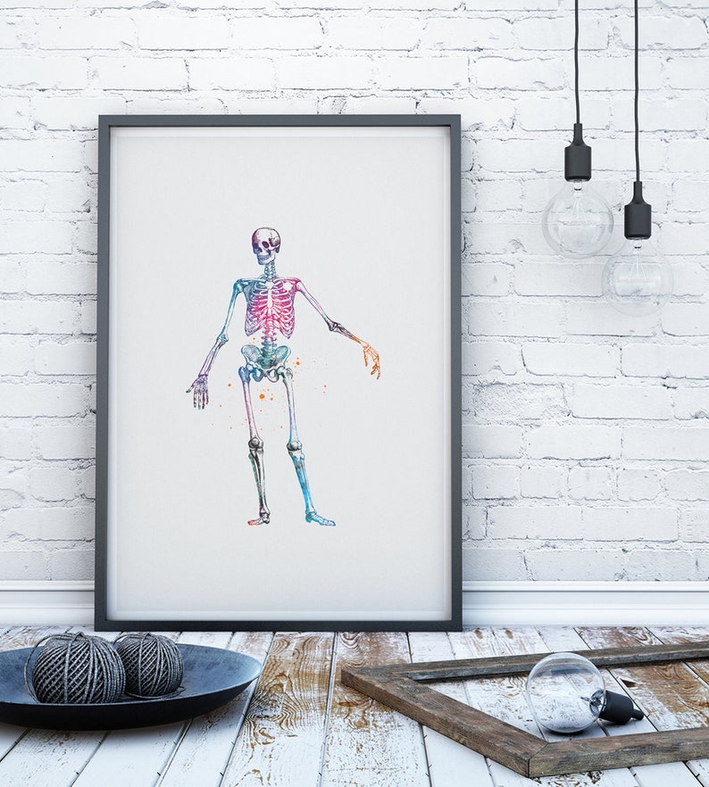Skeleton Poster Anatomy Painting Human Anatomy Art Medical | Etsy