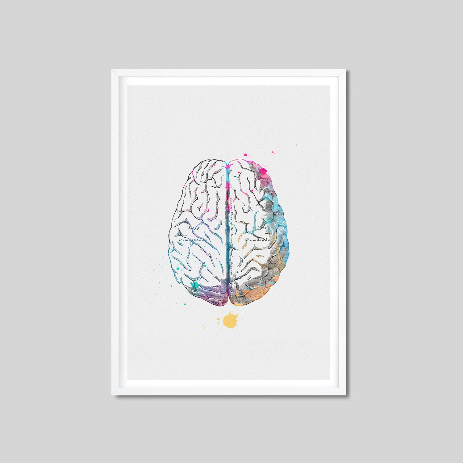 Human Brain Painting