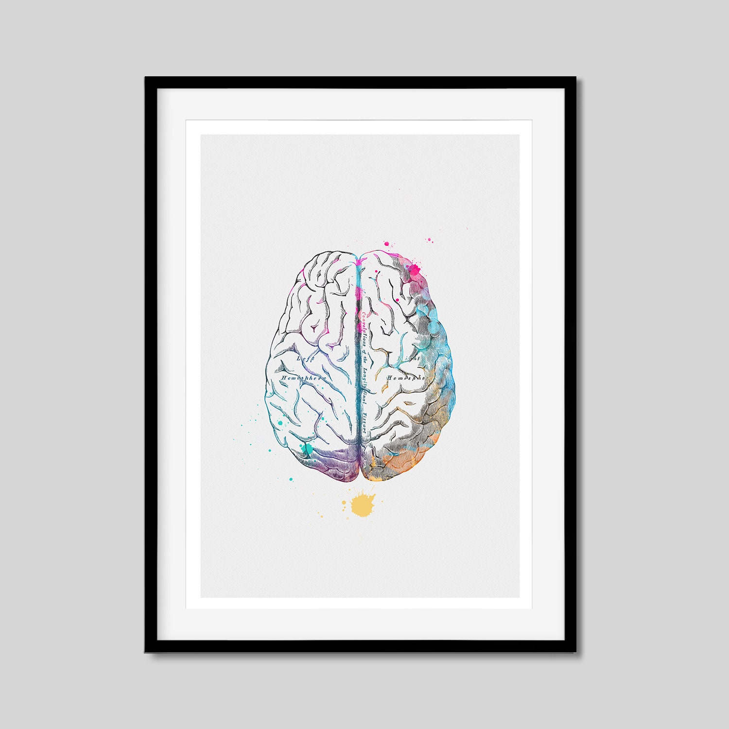 Human Brain Watercolor Print Brain Poster Brain Painting | Etsy