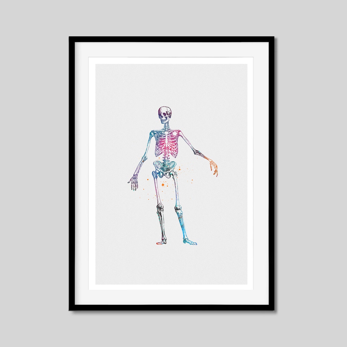 Skeleton Poster Anatomy Painting Human Anatomy Art Medical | Etsy