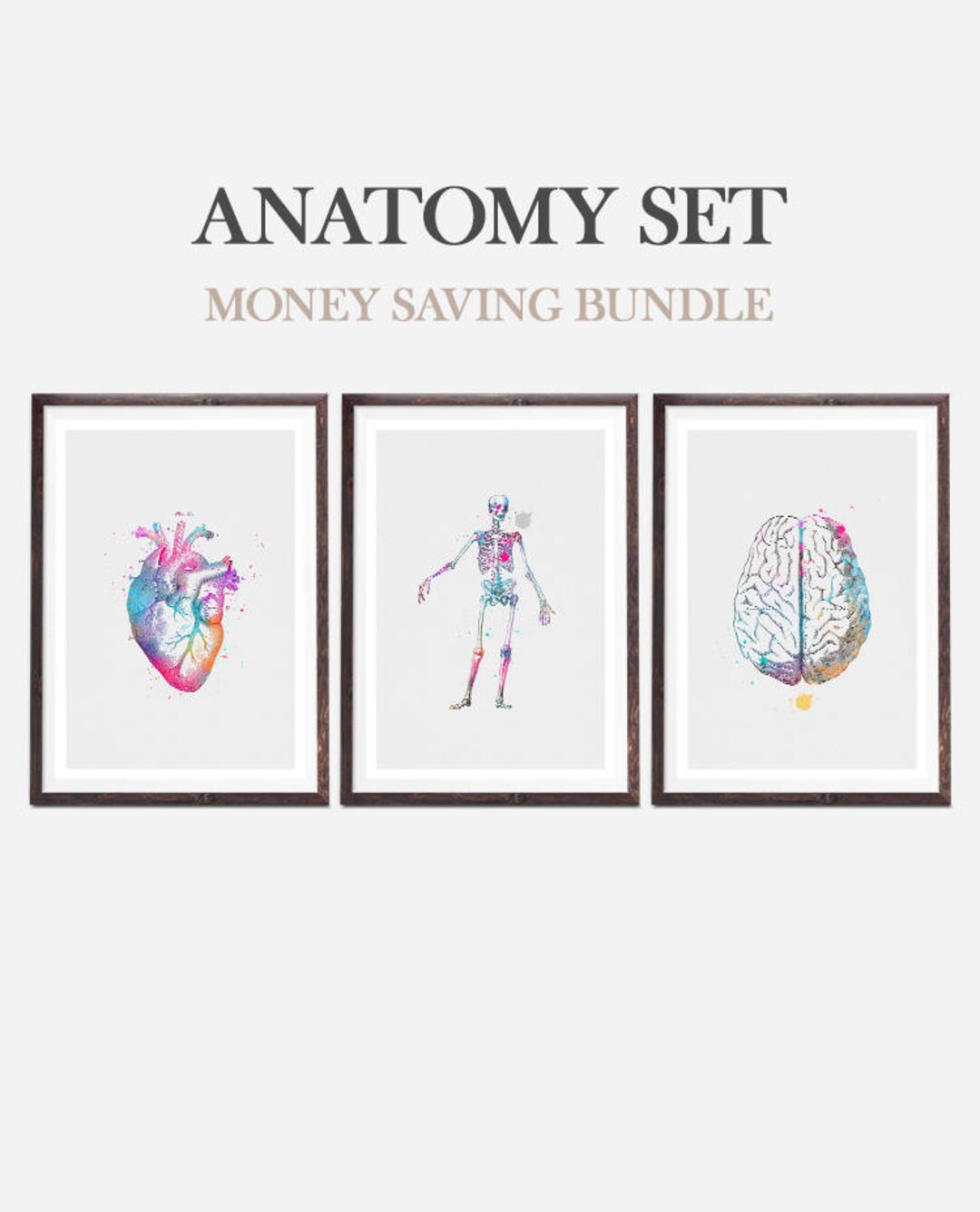Medical Science Anatomy Prints, Set of Prints, Anantomy Prints ...