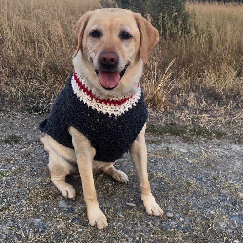 Lumberjack Dog Sweater Crochet Pattern - Etsy Canada