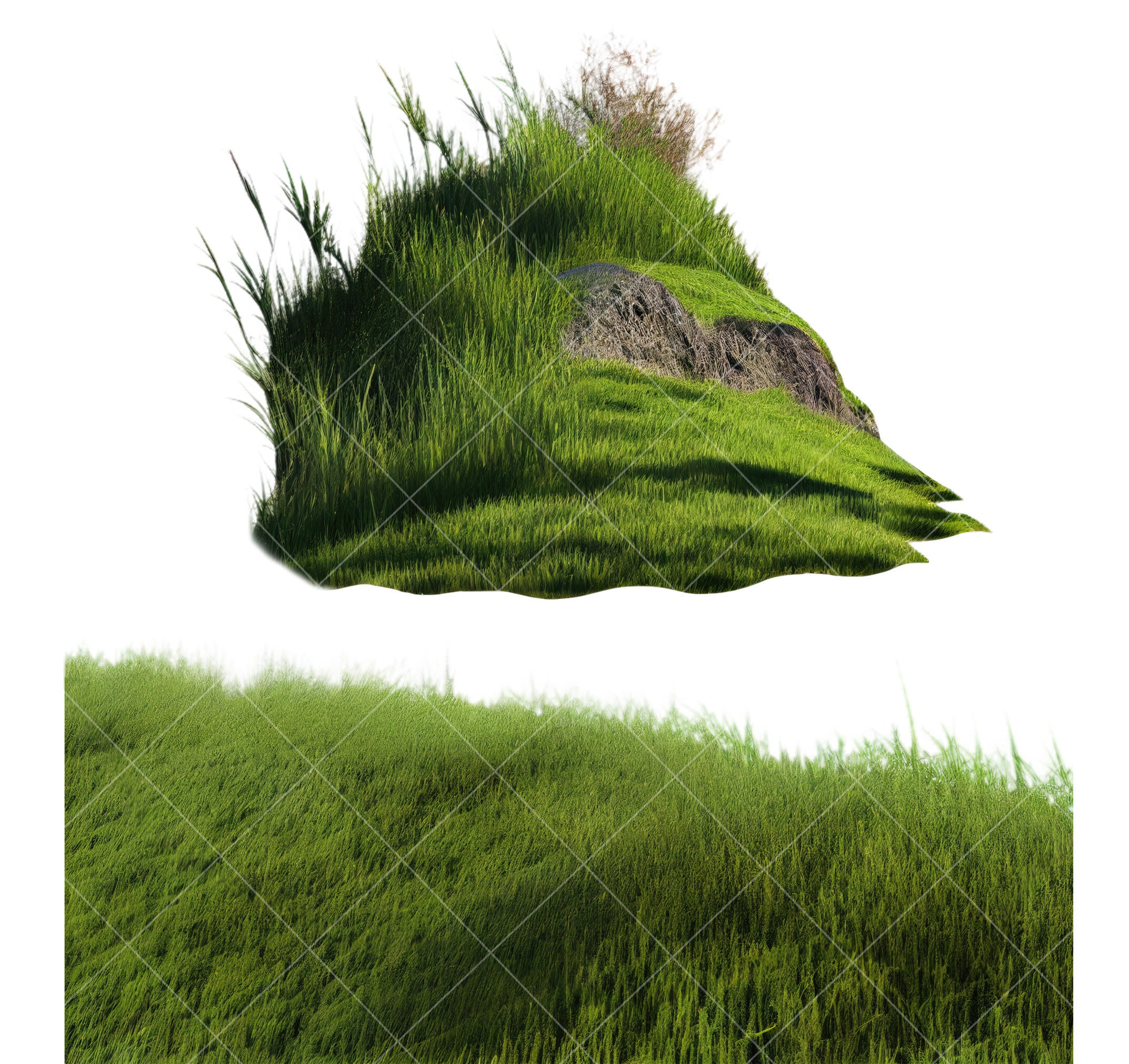 12 PNG Grass Overlay Bundle, Grassy Knoll Overlay, Photo Grass ...
