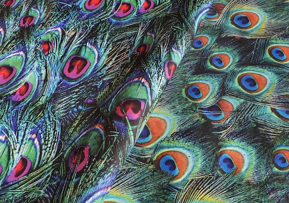 Peacock Feather Designs For Fabric Painting