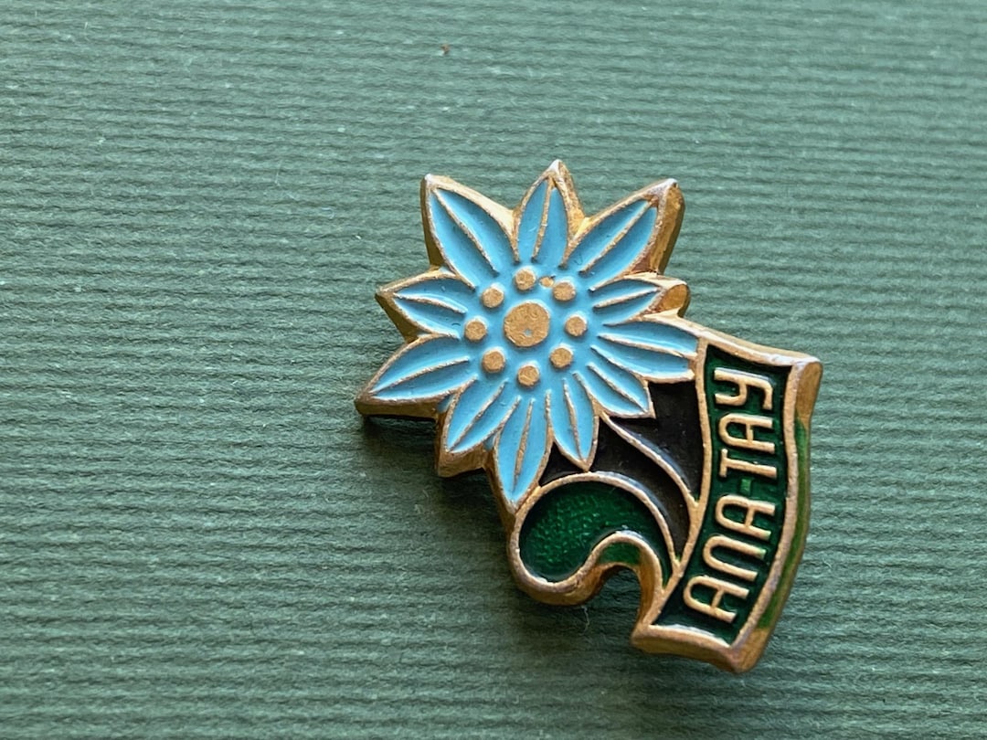 Edelweiss Pin. Flower Pin. Vintage Collectible Badge, Soviet Pin A7 - Etsy