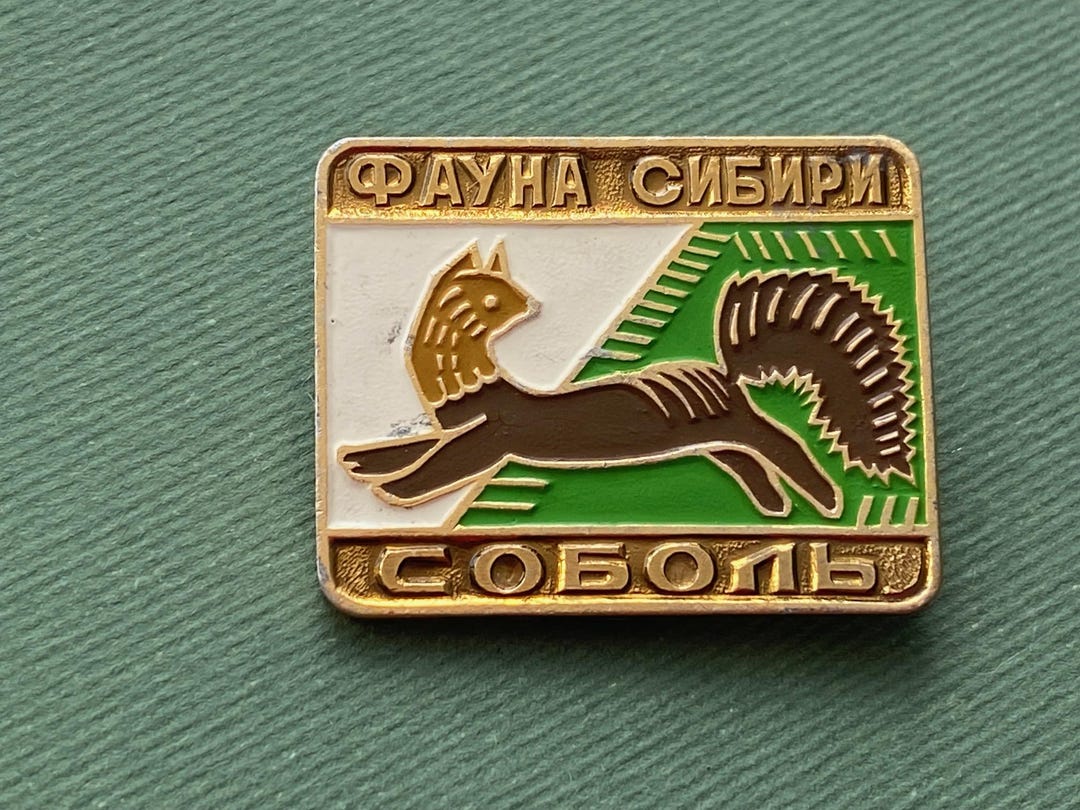 Sable. Fauna of Siberia Pin. Vintage Metal Collectible Badge. Soviet ...