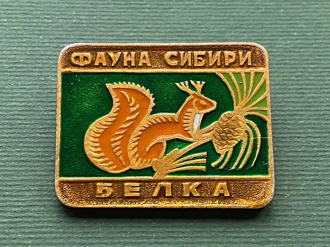 RARE Squirrel. Fauna of Siberia Pin. Vintage Metal Collectible Badge ...
