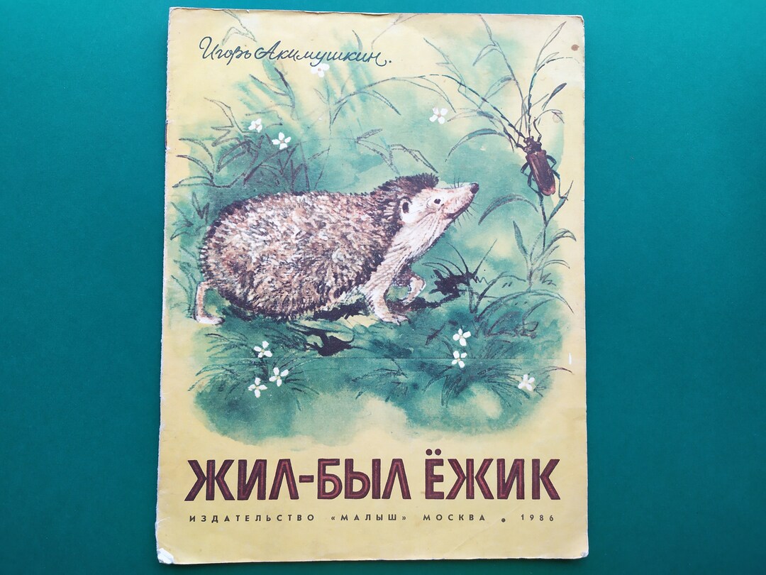 Akimushkin lived Hedgehog Soviet Children's - Etsy