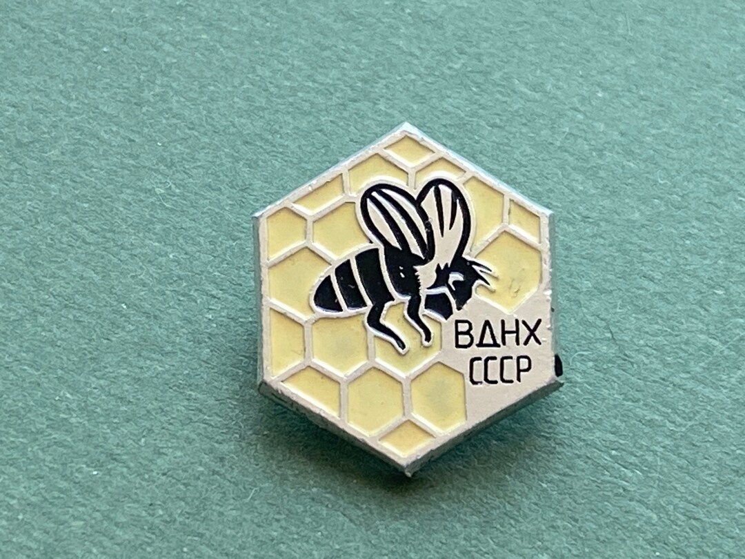 RARE Bee Pin. Vintage Collectible Badge, Soviet Pin, Soviet Union, USSR ...
