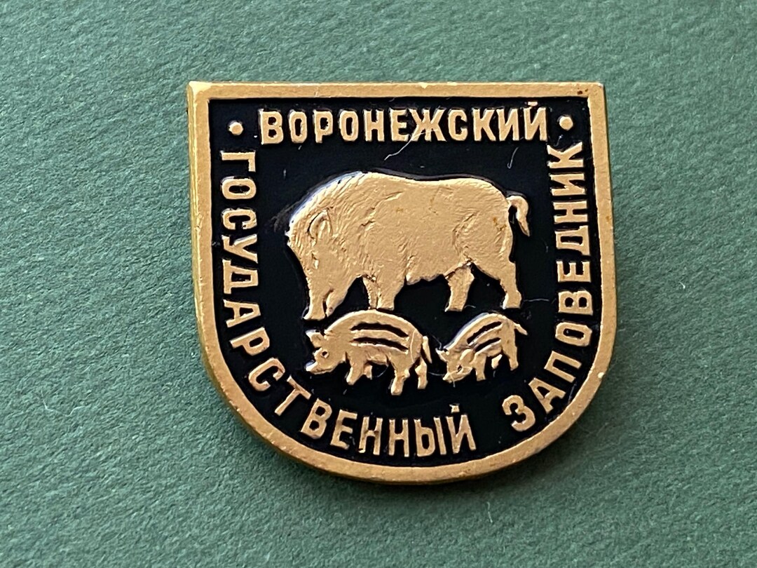 RARE Boar With Children Pin. Vintage Collectible Soviet Pin Badge, Made ...