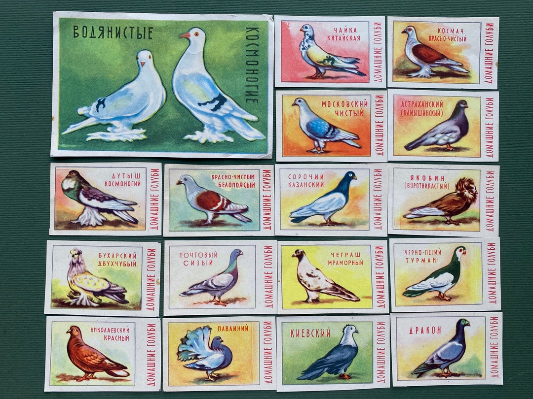 Pigeons, Birds Soviet Stickers for Matchboxes. Vintage Labels 17 Pieces ...
