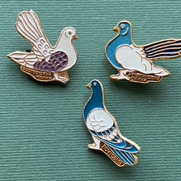 Pigeon Pin - Etsy