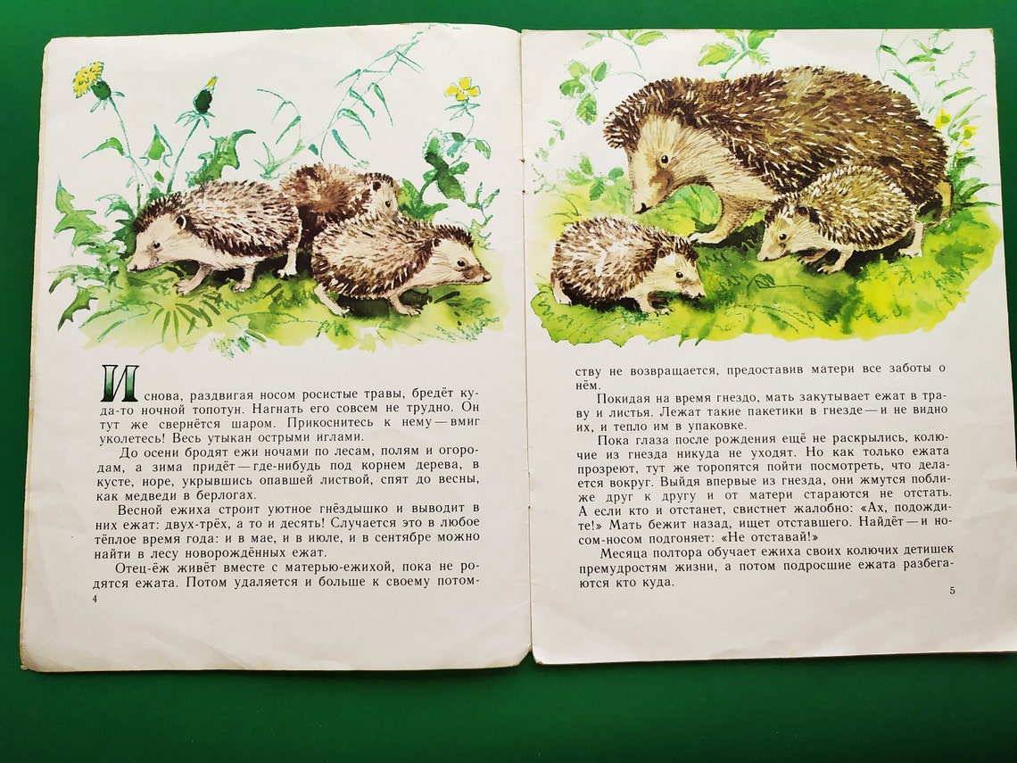 Akimushkin lived Hedgehog Soviet Children's | Etsy