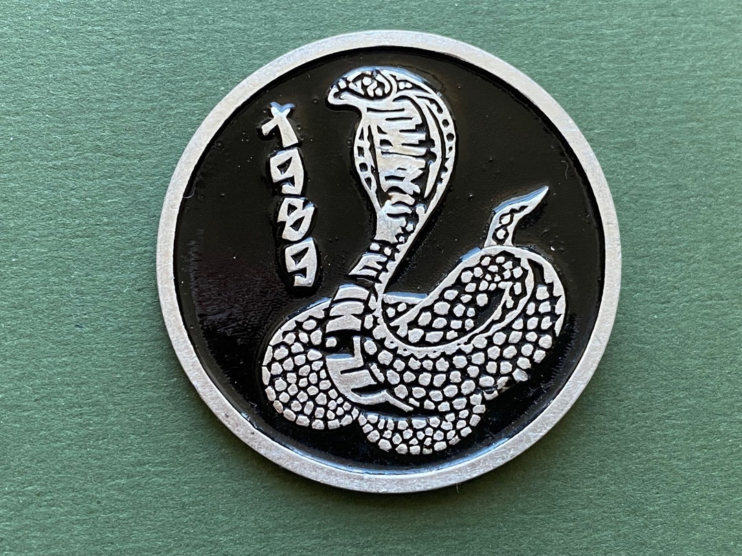 Snake Pin . RARE Vintage Collectible Badge, USSR A3 - Etsy