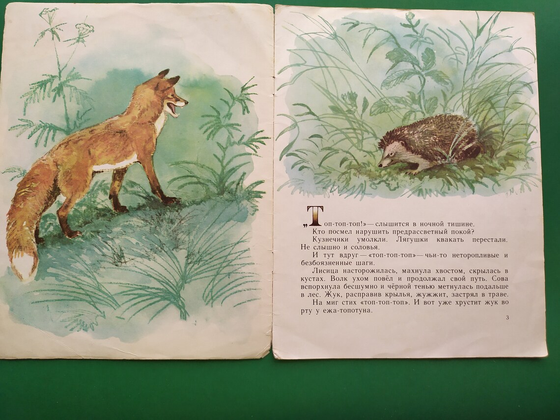 Akimushkin lived Hedgehog Soviet Children's | Etsy