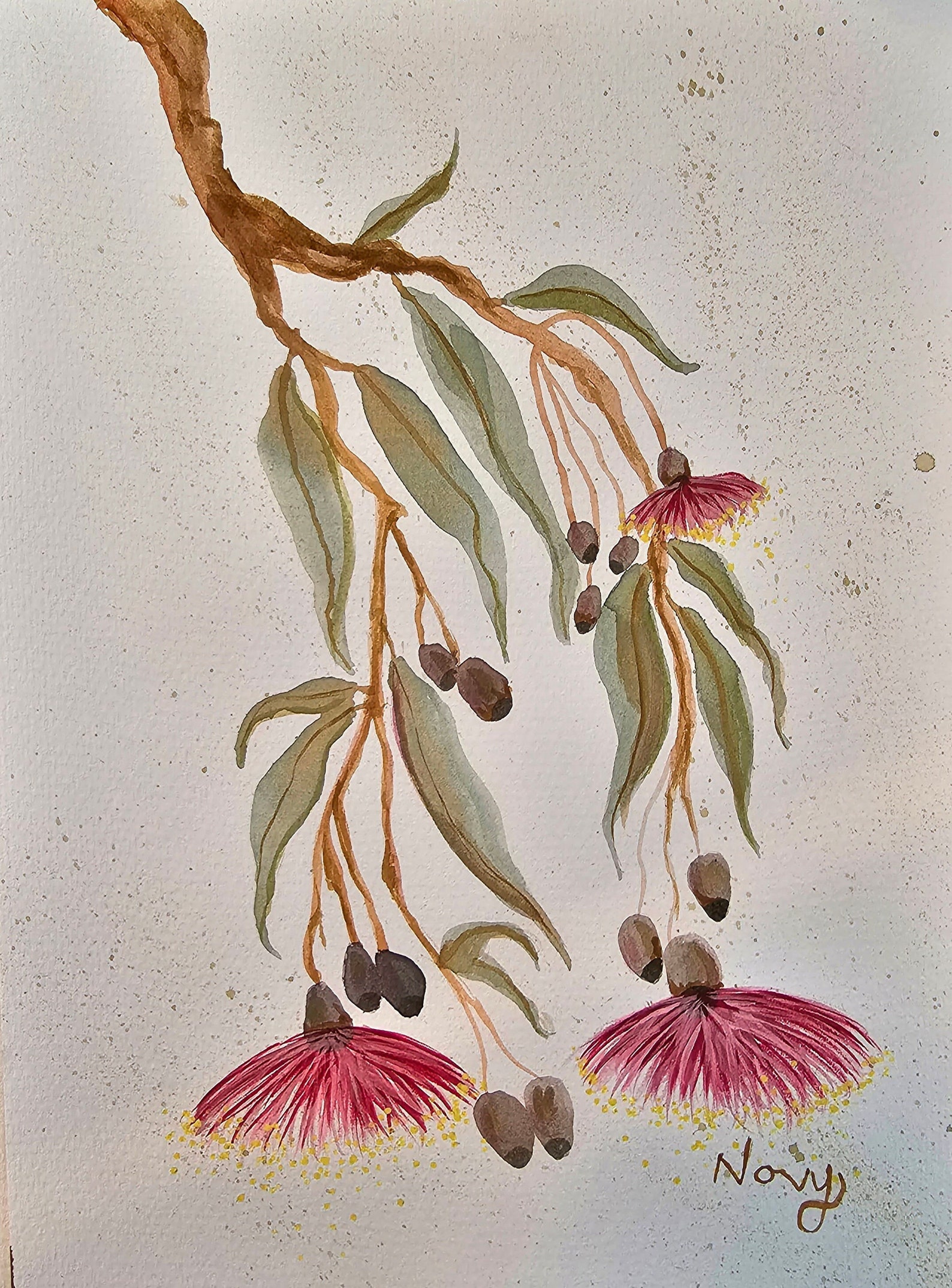 Original GUM NUT FLOWERS Watercolour Painting A4 - Etsy