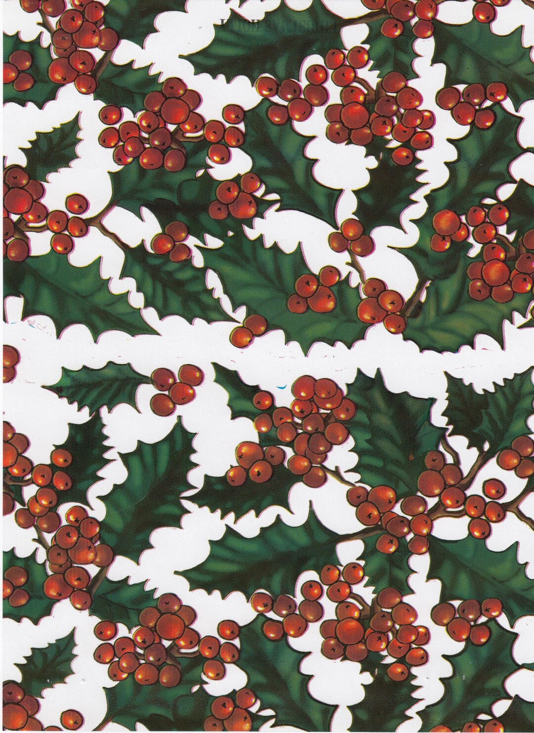 3 Designs Fall and Winter Highlander Printed Clearphane Cellophane Wrap ...
