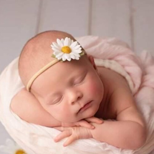 Baby Daisy Headband Newborn Daisy Crown Dainty Nylon - Etsy
