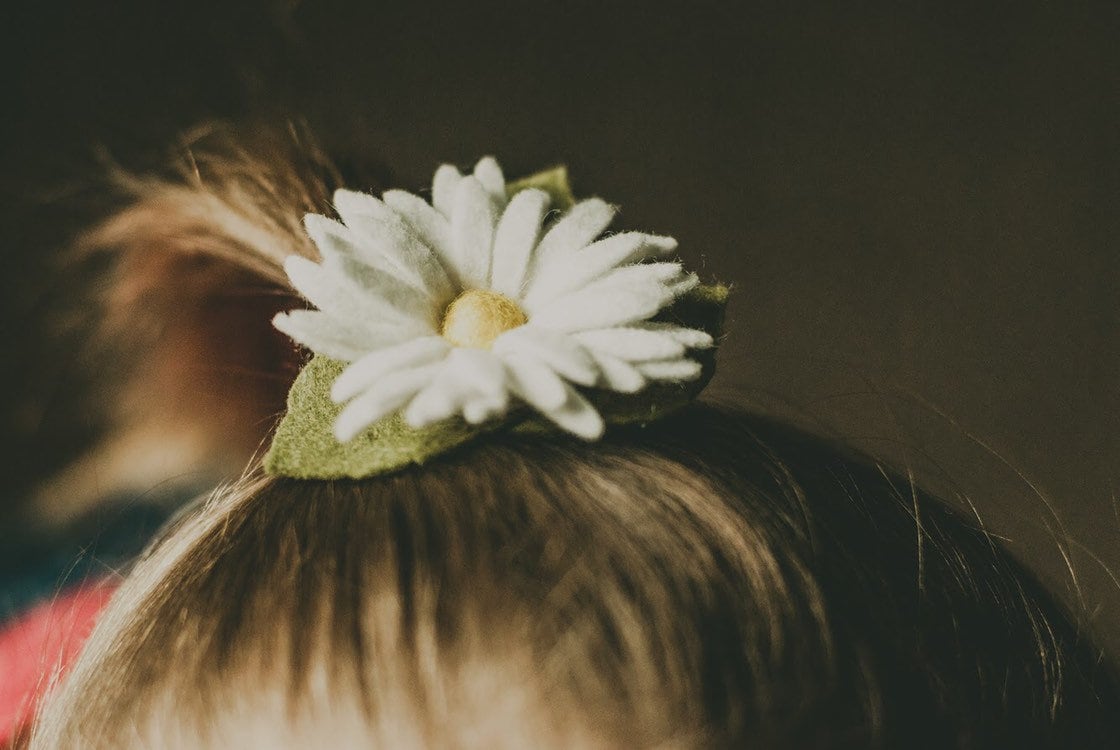 Daisy Hair Clip Set Daisies Hair Clips Floral Hair Bobble - Etsy UK
