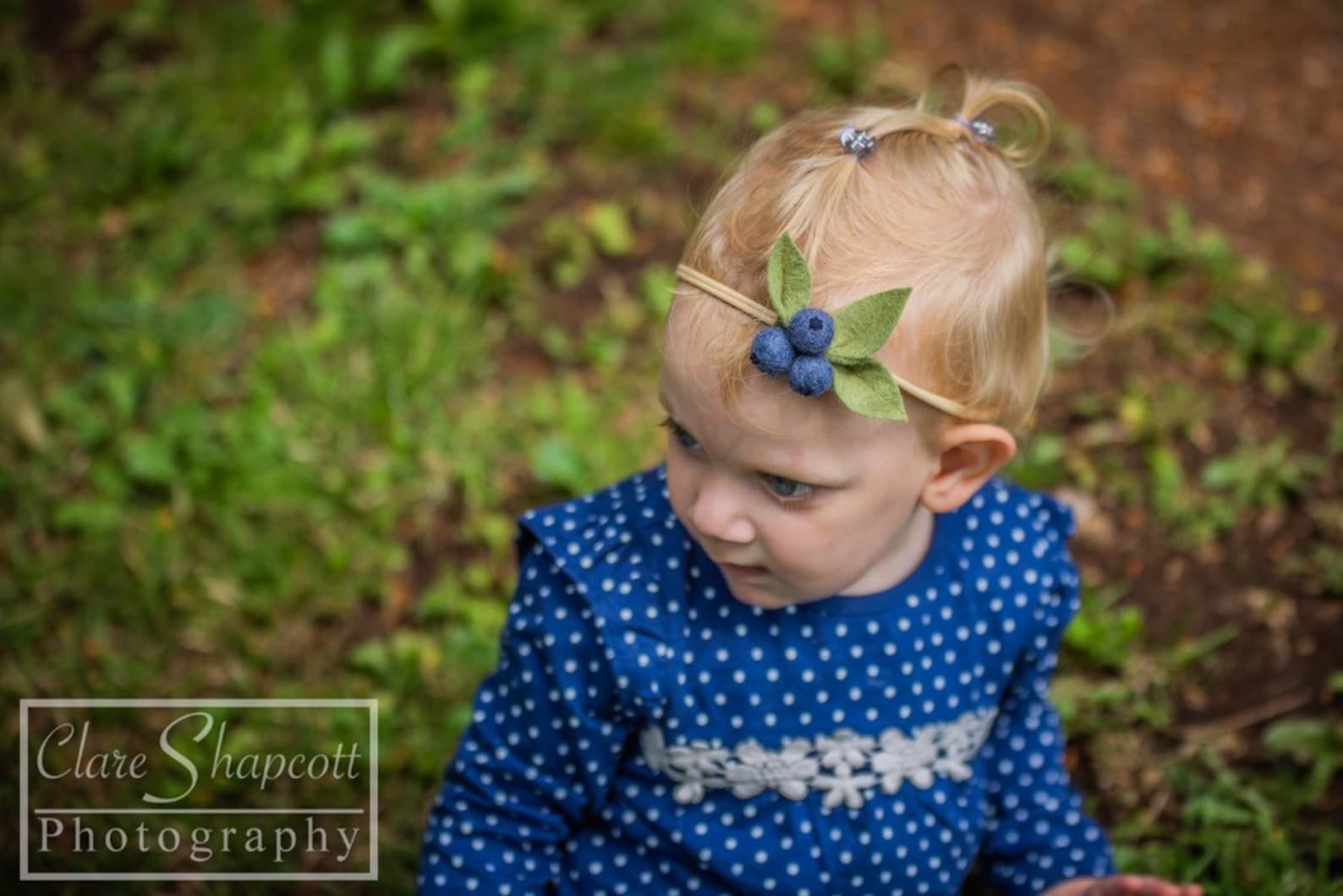 Blueberries Hair Clip, Felt Blueberry Headband, Fruit Hair Accessory ...