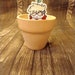 Silly Vash Plant Pot Sticker Trigun - Etsy