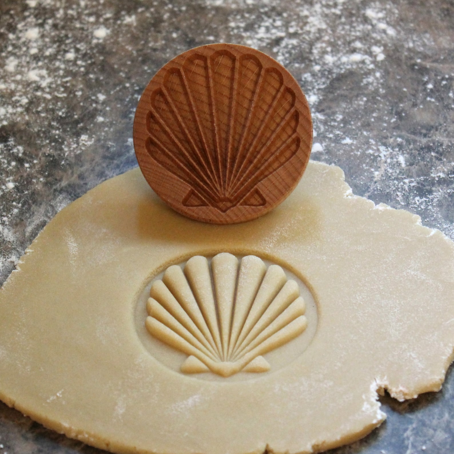 Scallop Shell 2.5 Inch Wood Cookie Stamp Mold CS-040 - Etsy