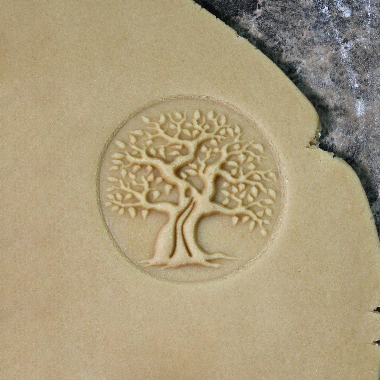 Old Tree 2.5 Inch Wood Cookie Stamp Mold CS-005 - Etsy