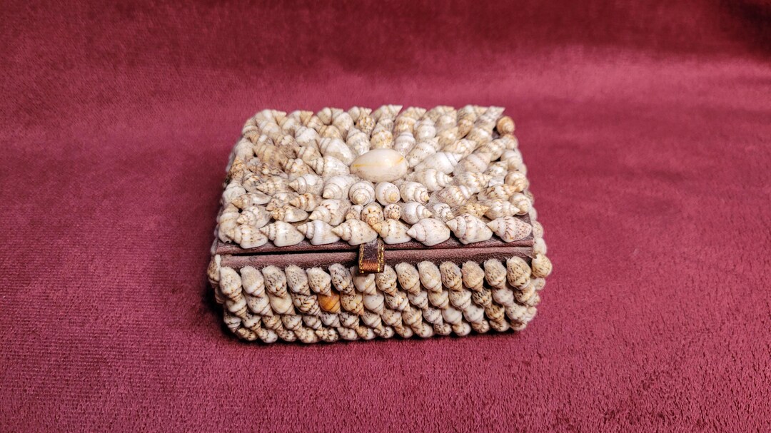 Vintage Small Seashell Box, Sea Shell Jewelry Box - Etsy