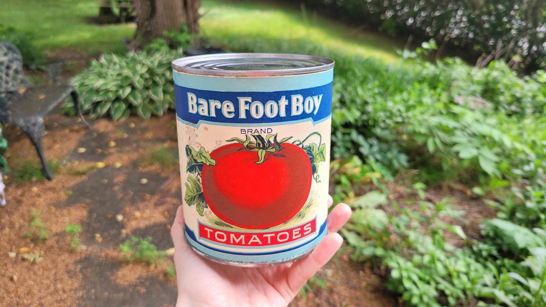 Bare Foot Boy Brand Tomatoes Tin, New Federal Canning Co., Frankfort ...