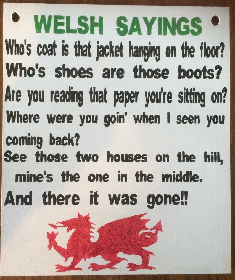 Funny Welsh Sayings Wooden Hand Painted Plaque - Etsy UK