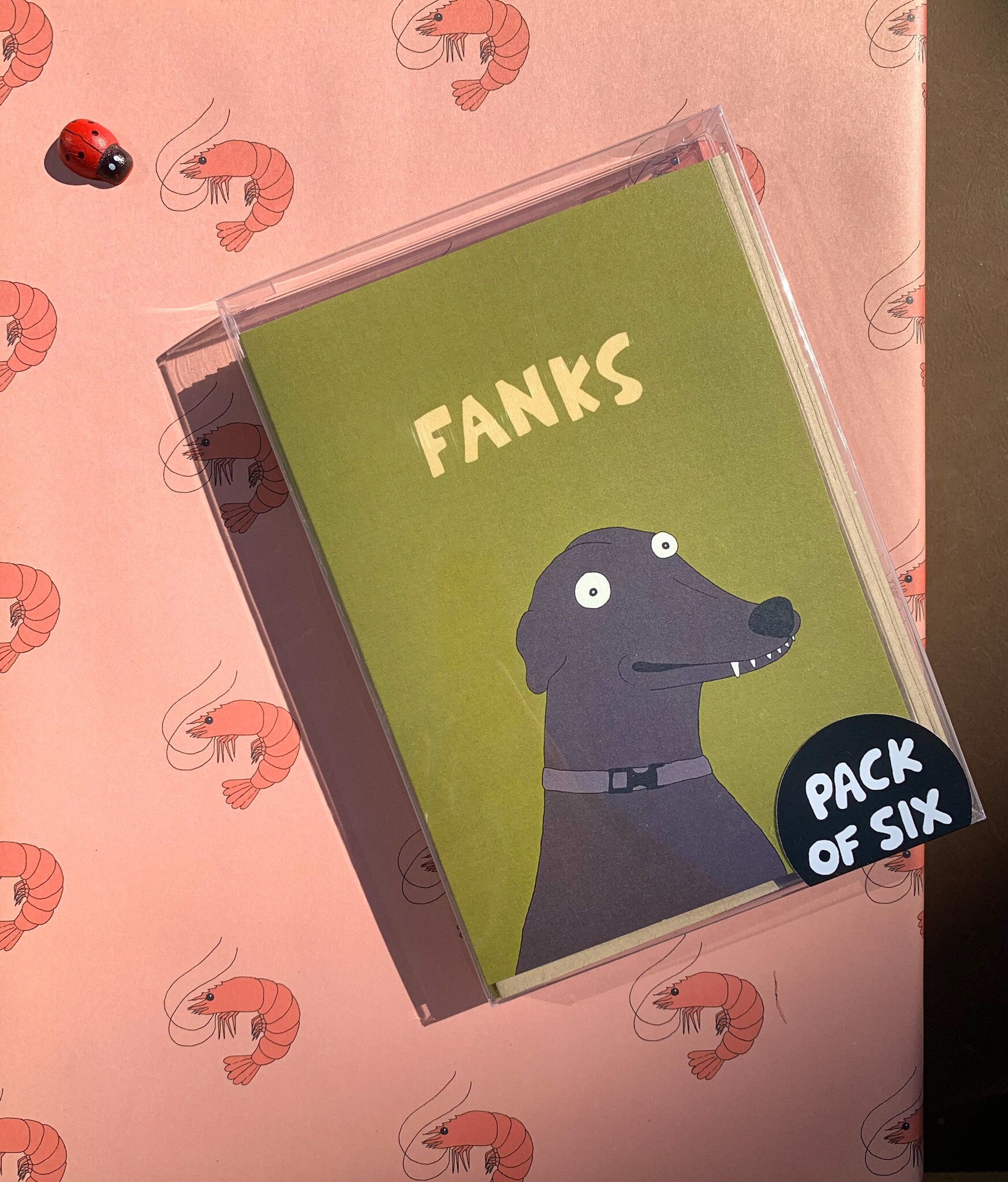 FANKS Six Pack Pack of Funny Thank You Cards Cute Thank You Cards Pack ...