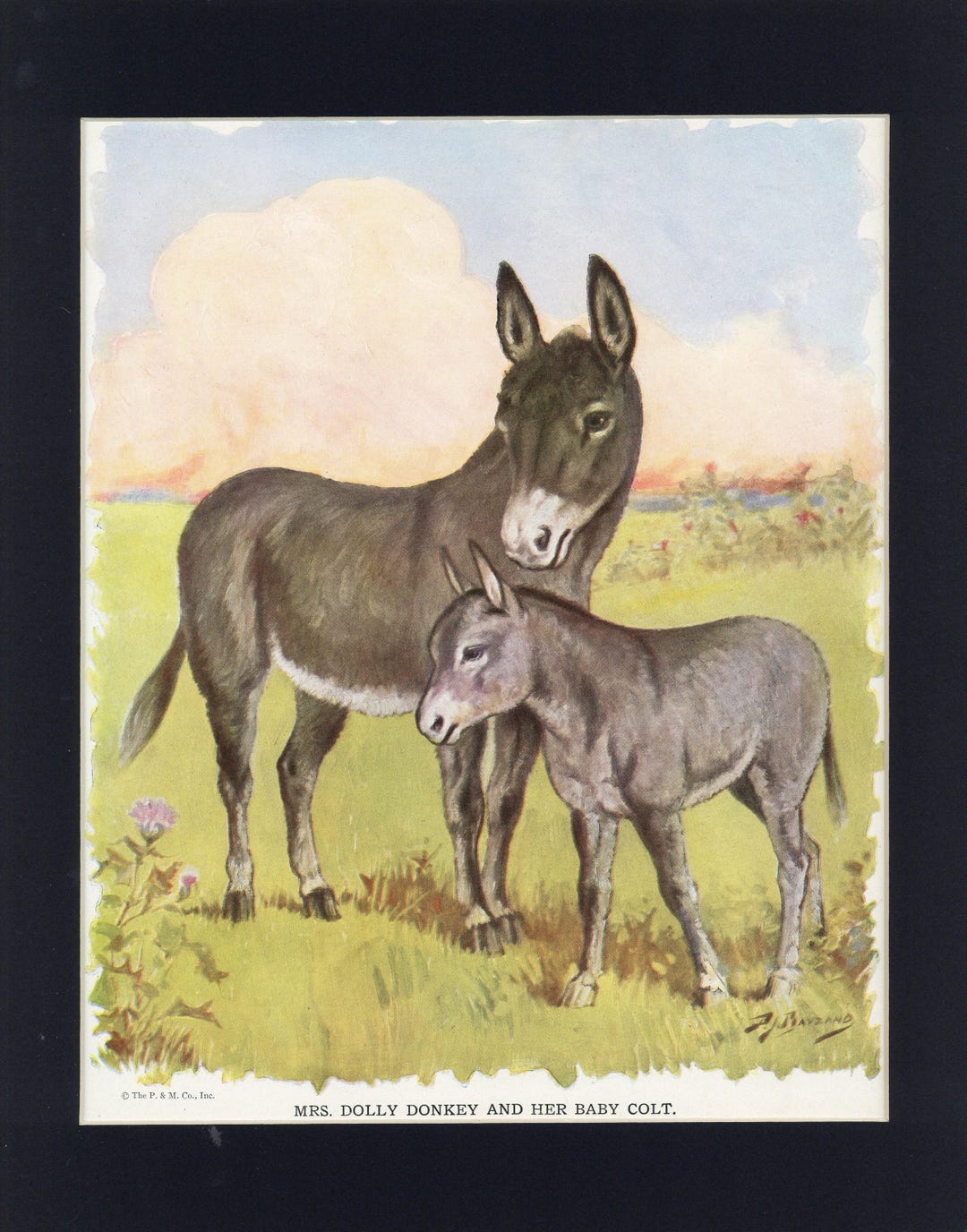Dolly Donkey and Her Baby Colt Vintage Illustrated Book Print From 1935 ...